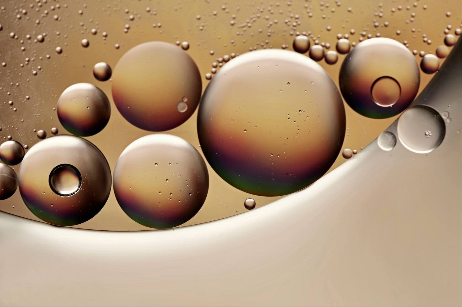 Spectrum Science: A Full-Service Health & Science Agency