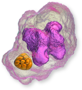Why Spectrum Science: Learn About Our Expertise