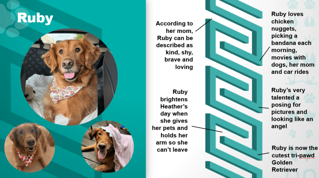 A Joyful Celebration of Pets at Spectrum Science - Spectrum Science: A ...